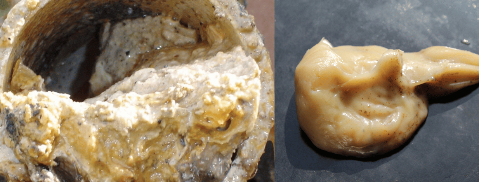 Top 5 Common Drainage Problems | Expert Solutions by HCM Jetters